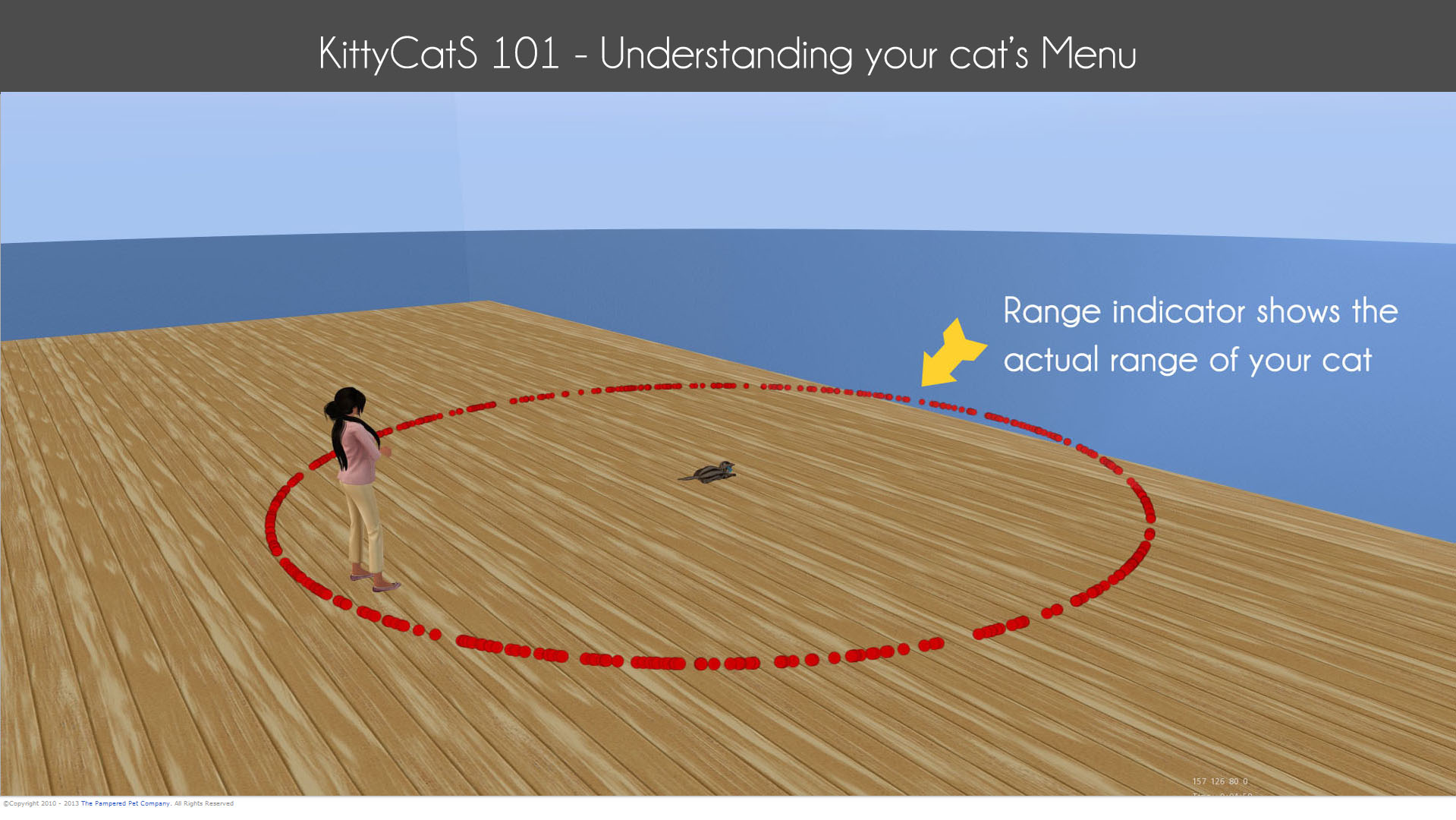 Getting Started With KittyCatS